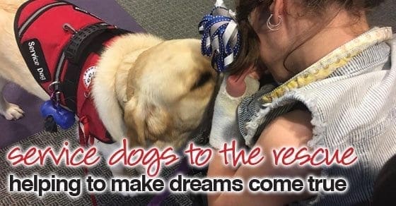 Service Dogs to the Rescue: Helping to Make Dreams Come True ...