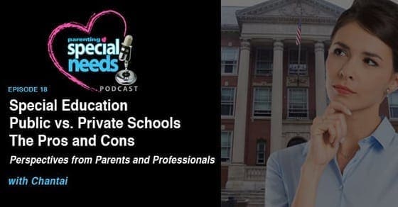 Special Education: The Pros and Cons of Public vs. Private School ...