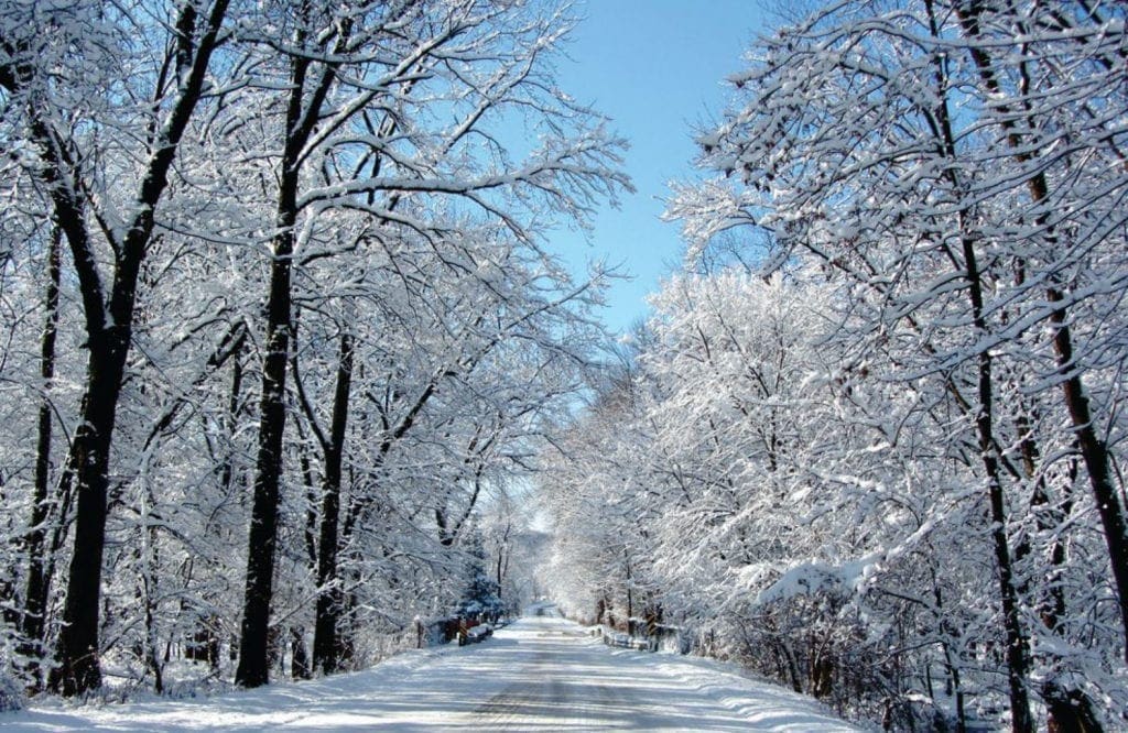 Mommy's Timeout: Jenison Majestic Drive - Parenting Special Needs Magazine