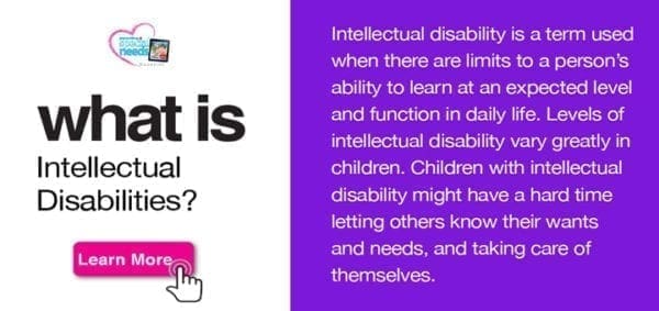 What is an Intellectual Disability? – Parenting Special Needs Magazine
